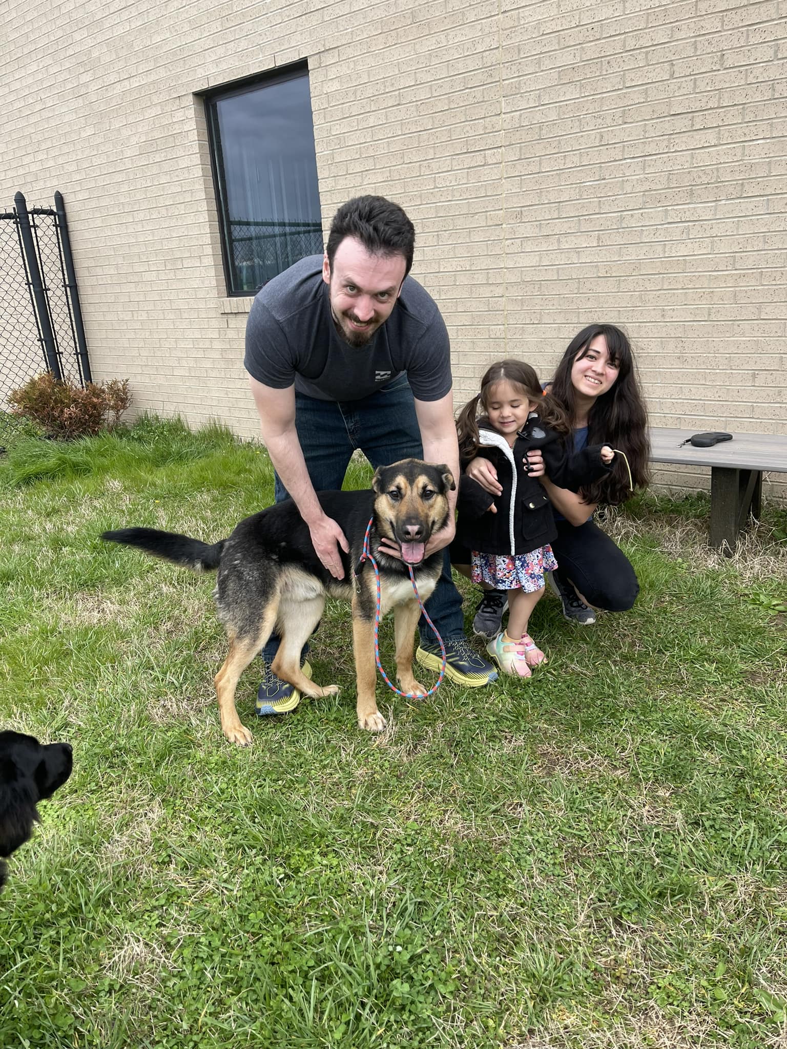 Pet Adoption Services - Sumner County Animal Services